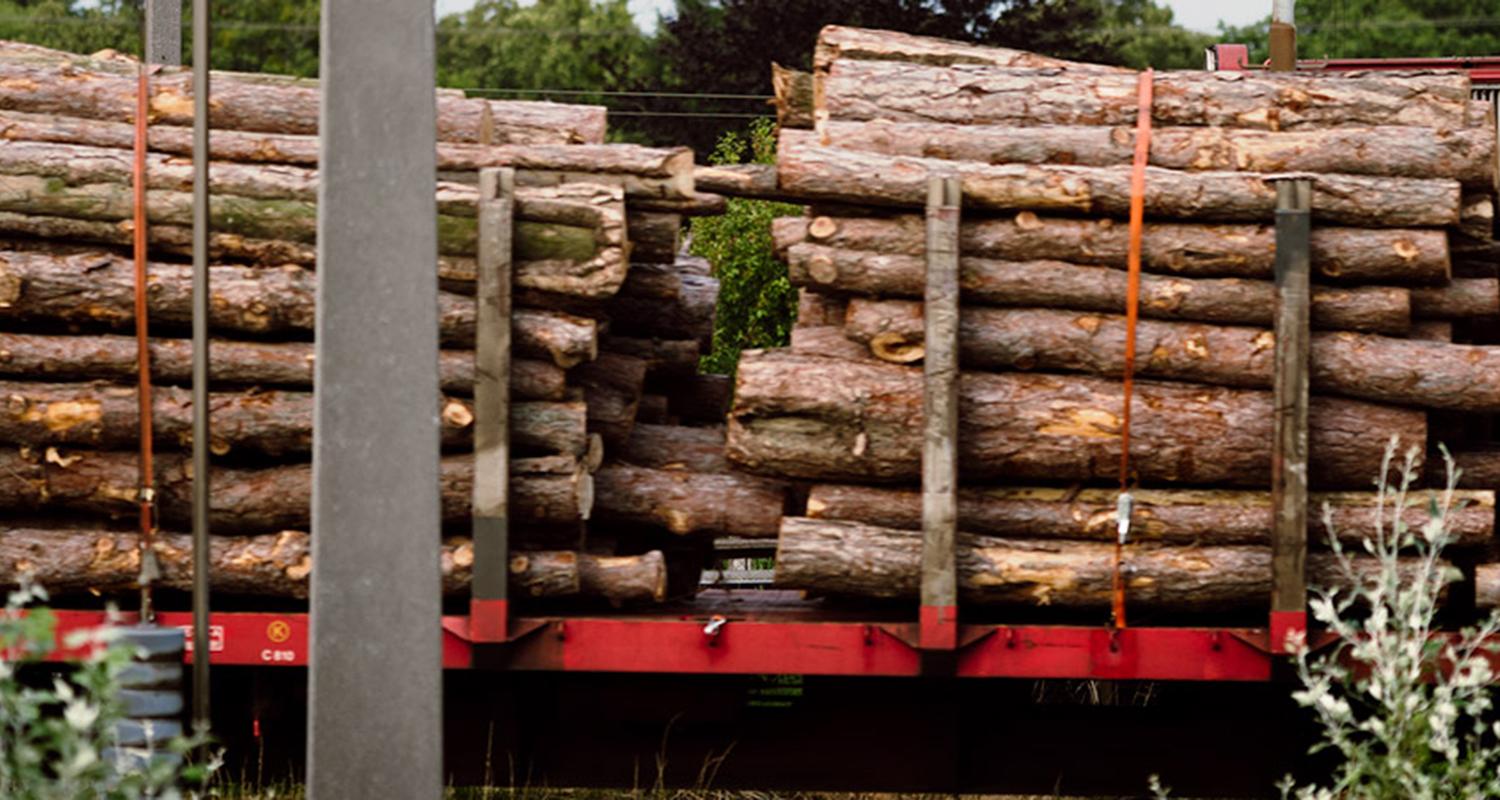 Transporting timber in an environmentally friendly way - Rail Cargo ...