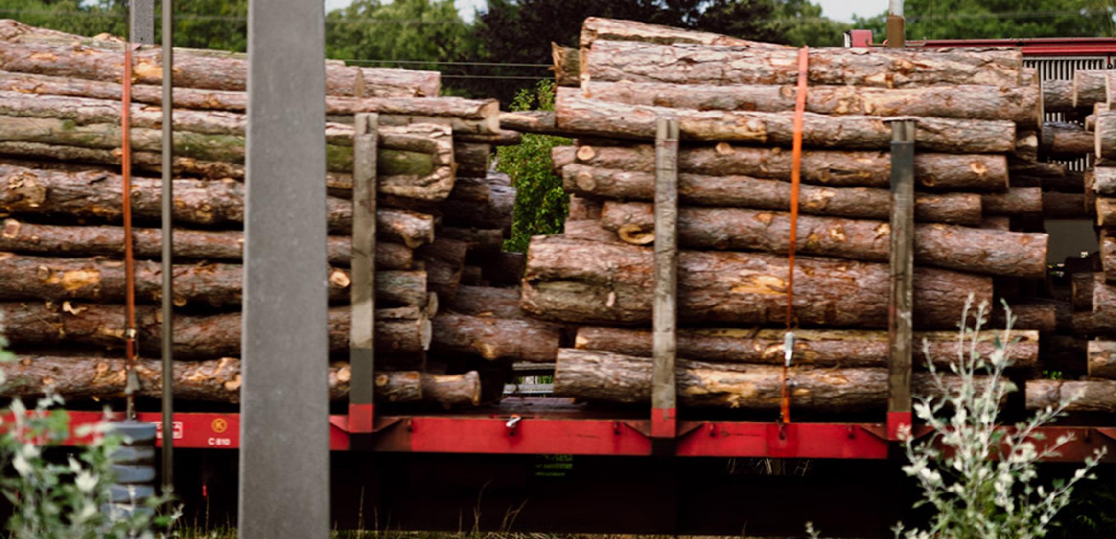 Transporting timber in an environmentally friendly way - Rail Cargo ...